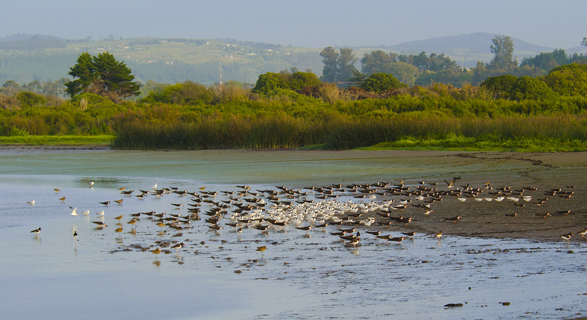 Análisis Cuenca hidrográfica Río Maipo – Arquitectura y Sustentabilidad ...